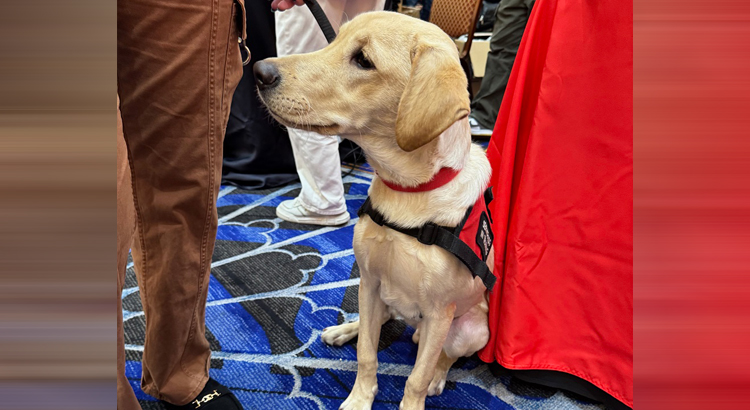 Meet “Radio” the Service Dog at CES - Radio World